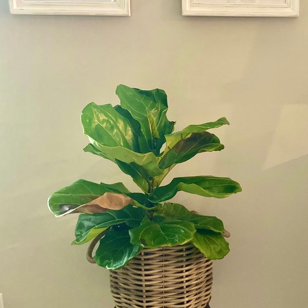 The Annunciation: the Angel Gabriel by Mikhail Nesterov – 3 Sizes ...