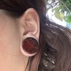Stone Tunnel Plugs Gauges Blue Tiger Eye Stone Tunnels Double Flare ...