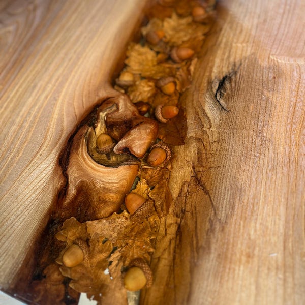 Dried Conkers Conkers in Shells ,dried Natural Conkers Nuts,fall ...