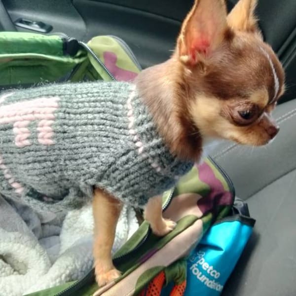 Monogram Dog Sweater, Letter Dog Sweater, Personalized Dog Sweater ...