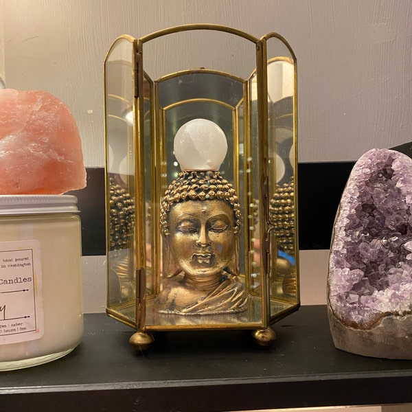 Glass Display Case With Black Oval Gilded Trim Design Vintage Brass and ...