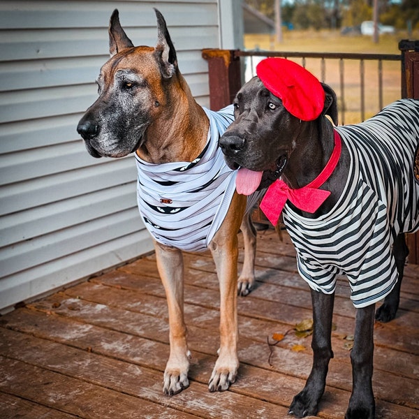 French Look Outfit Set - Pet Beret Hat, Red Scarf, Black White Striped ...
