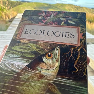 Ecologies Card Game Gameplay Inspired by Nature Use Science to Build ...