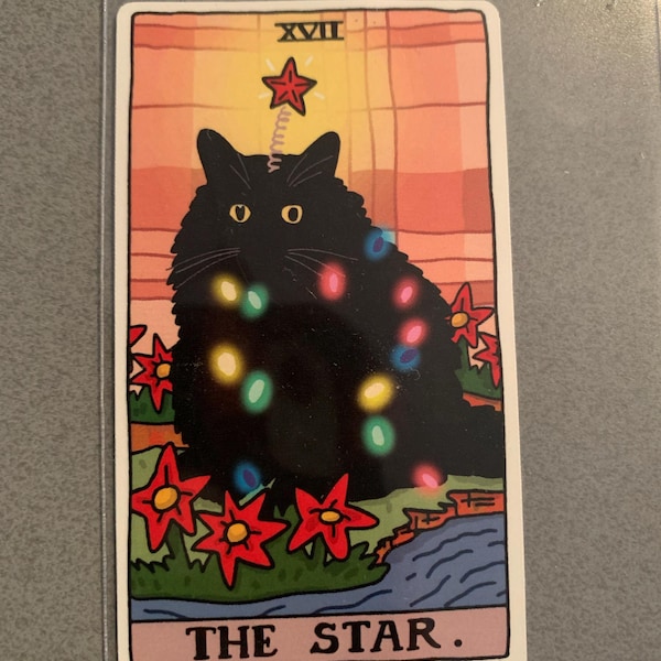 Birthday Blessing From the Pope Cat Meme, Croc Cat Meme, Funny Birthday ...