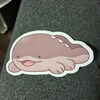 PKMN Paldean Wooper Quagsire Clodsire Stickers - Etsy