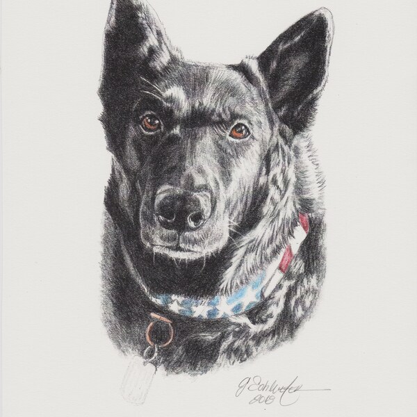 8x10 Custom Pet Portrait Memorial Drawing Photo to Sketch Dog Owner ...