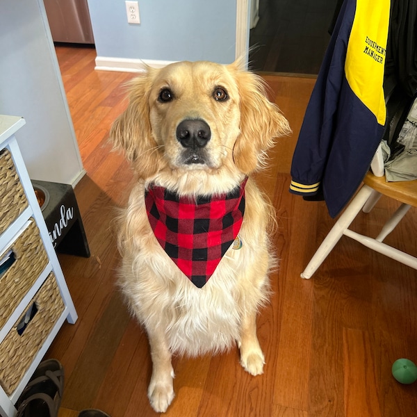 Medium Dog Coat PDF Pattern/tutorial - DIY Dog Jacket - Medium ...