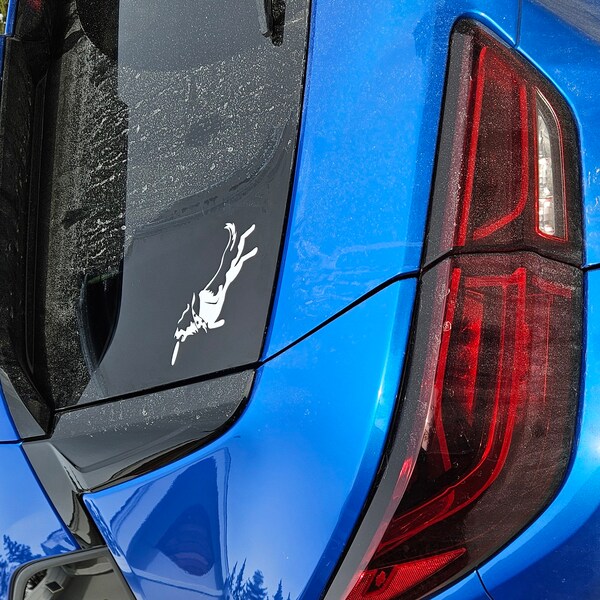 Border Collie Disc Dog | DC516PL | High Quality Adhesive Vinyl Border ...