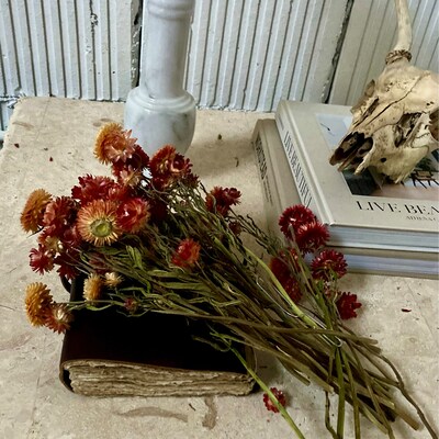 Dried Strawflower Stems, Dried Strawflowers, Orange Dark Red Purple ...