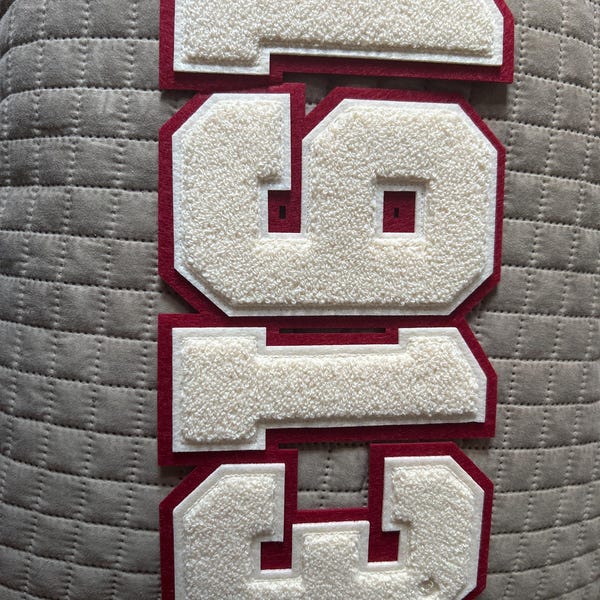 Delta Sigma Theta Large Chenille Word Patch; 1913; Oo-oop; Elephant; Diva; - Etsy