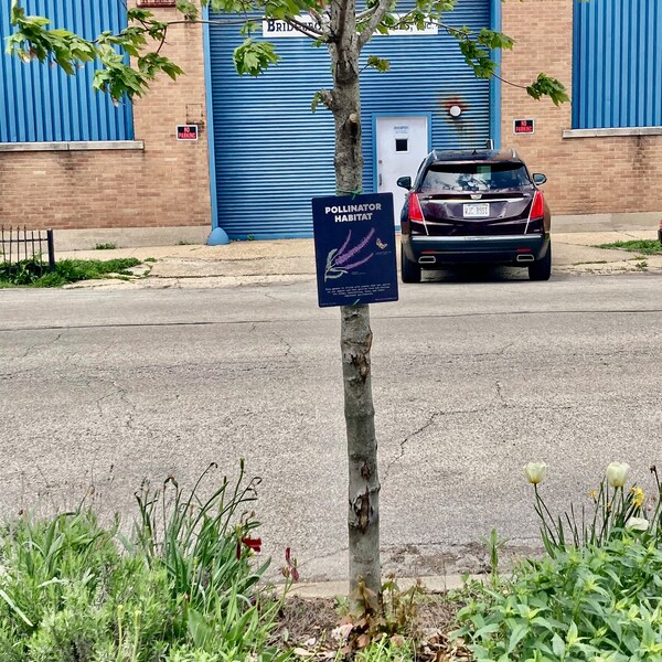 Native Plant Garden Sign | Pollinator Habitat Sign | Pollinator Garden ...