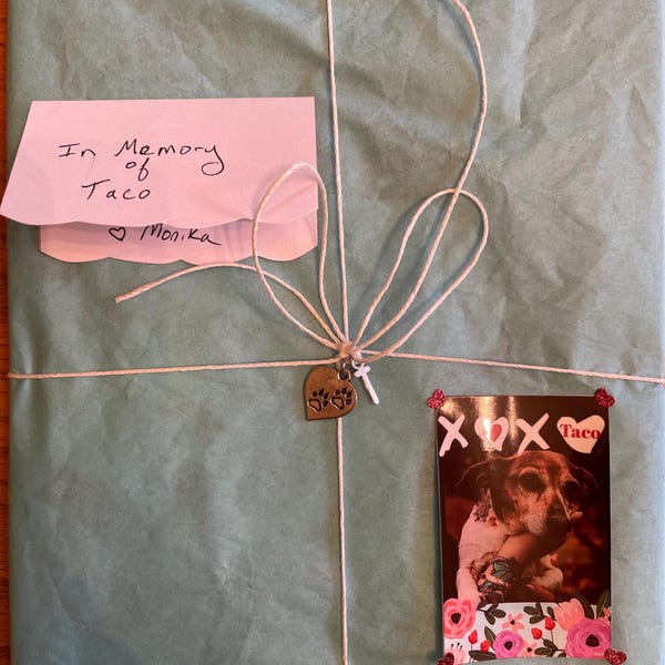 Guided Pet Remembrance Journal - Etsy