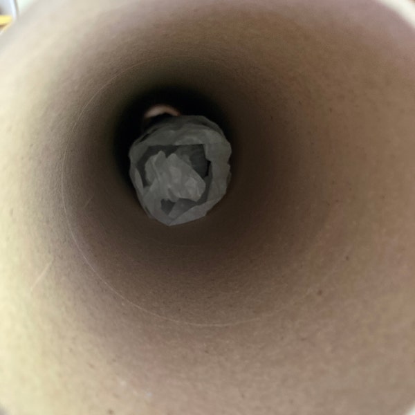 Evolutionary Biology Tree of Life Poster: Educational Nature Art - Etsy