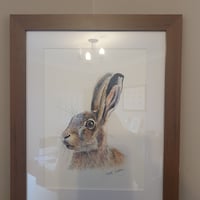 GOOD LUCK CARD Dog Greetings Card-animal Card-funny-good Luck Lucky ...