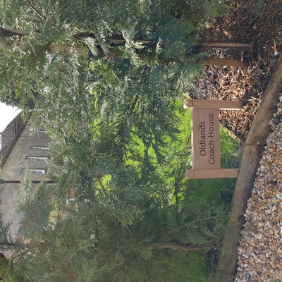 Solid Engraved Oak Upright Freestanding Sign, Oak Post Sign, Solid Oak ...