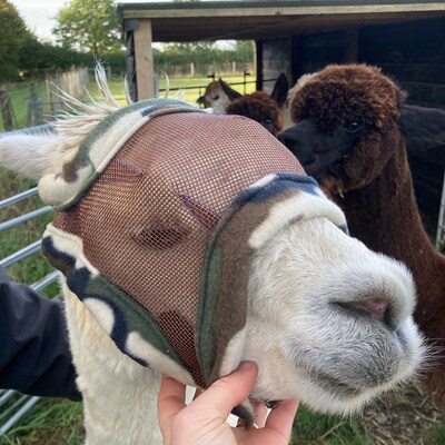 Goat/sheep Fly Masks With & W/o Horns Dual Adjustable Made to Order - Etsy