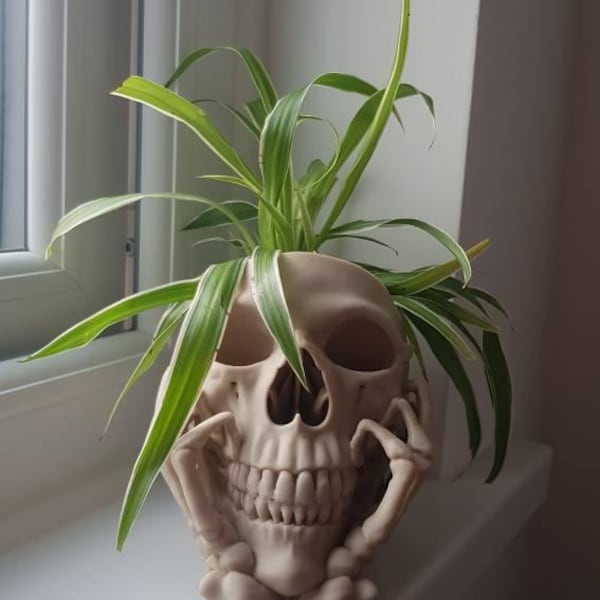 Happy Skull Horror Planter - Unique Plant Pot, Witchy/goth Decor ...