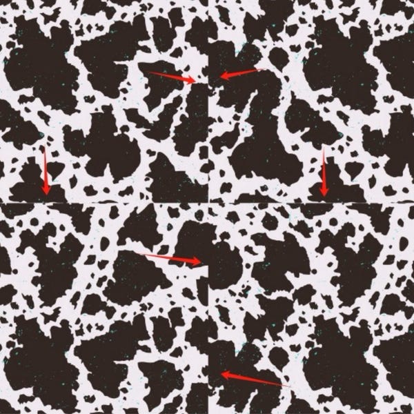 6+ Western Seamless Pattern, Cow Seamless Pattern, Seamless Pattern ...