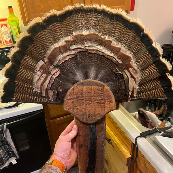 Classic Turkey Fan Mount - Etsy