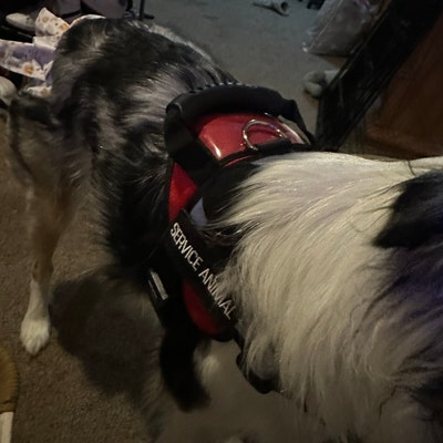 Emotional Support Animal E.S.A. Dog Harness Reflective Assistance Vest ...