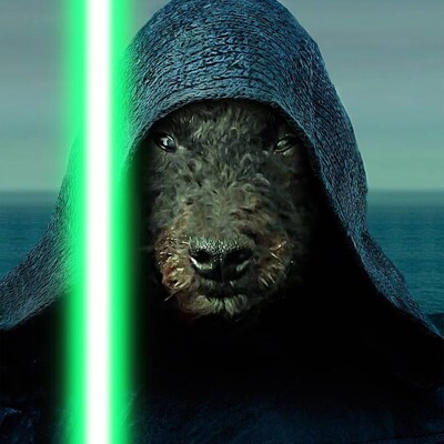 Custom Star Wars Pet Portrait, Luke Skywalker Dog Portrait, Star Wars ...