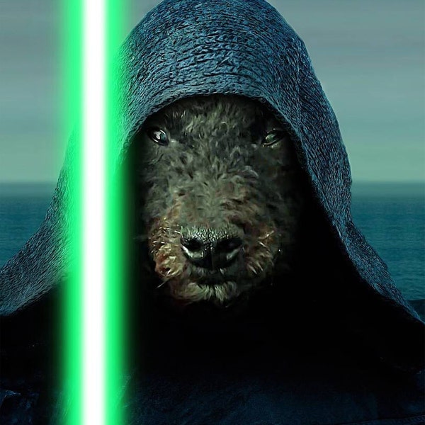 Custom Star Wars Pet Portrait, Luke Skywalker Dog Portrait, Star Wars ...