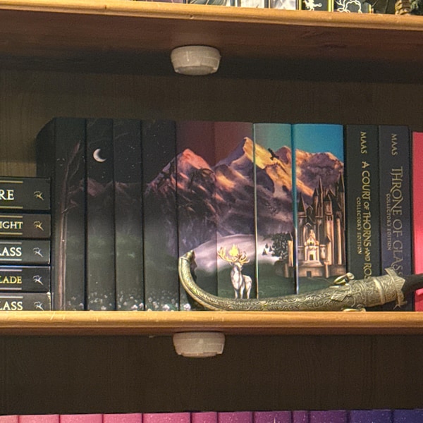 Throne of Glass Series by Sarah J. Maas - Throne of Glass, TOG Books ...