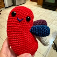 Anatomical Kidney Crochet Pattern! PATTERN ONLY Instant DOWNLOAD ...