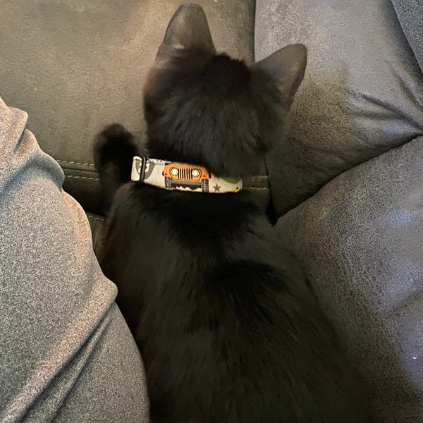 Spongebob Squarepants Handmade MARTINGALE or BUCKLE Dog Collar - Etsy