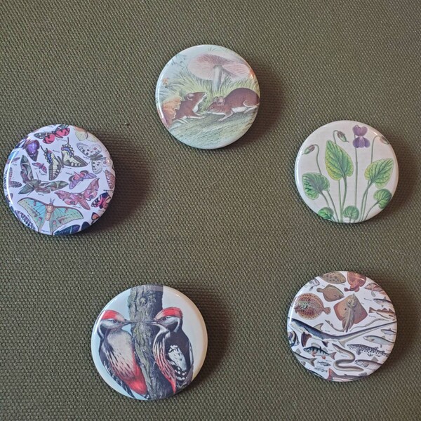 Mix Set of Natural History Themed Pins, Random Assortment of Pins ...