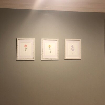 Watercolor Birth Month Flower Prints Floral Garden Collage - Etsy