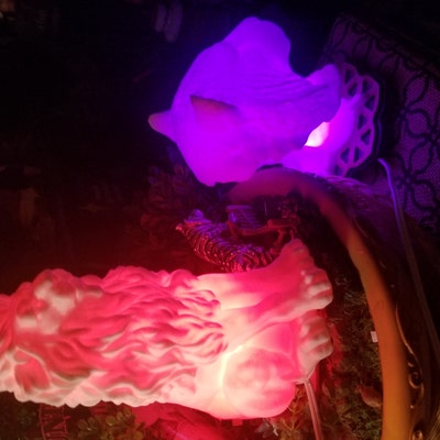 Tyrannosaurus Rex Wall Hanging 3D Printed Accent Lamp, T-rex, Novelty ...