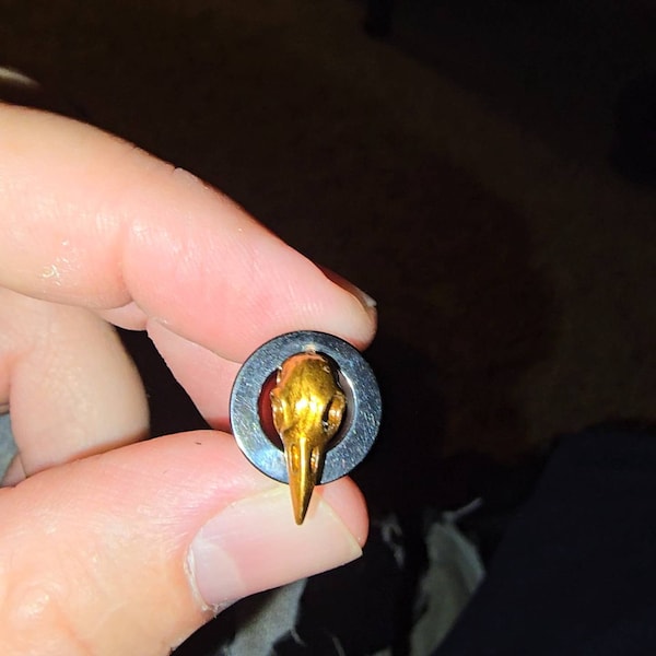 Raven Skull Ear Tunnels - Black Stainless Steel Ear Plugs - Gothic ...