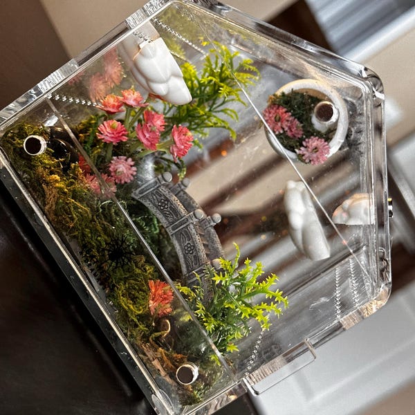 JC Decorated Hexagon Enclosures - Etsy