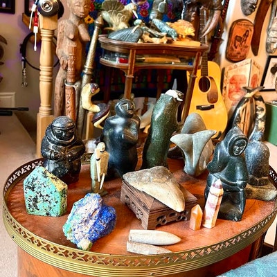 Agatized Turritella Shells - Etsy