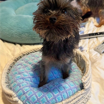 MACRAME PATTERN / Macrame Rug Tutorial / Round Mandala-inspired Rug ...