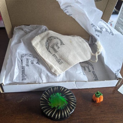 Real Mole Bone Displays. Bone Display. Mounted Mole Bones. - Etsy UK