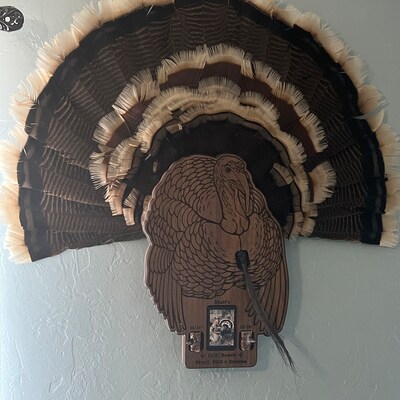 Personalized Double Wide Pheasant Tail Mount Plaque, Tail Feather ...
