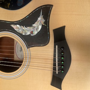 Bridge Pins Made for Taylor Guitars - Etsy