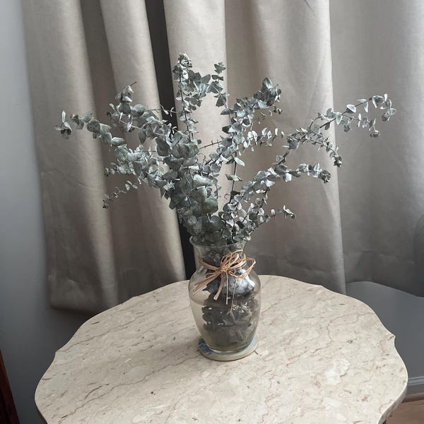 Fresh Eucalyptus Shower Bundle, Eucalyptus Shower Bundle, Indoor ...