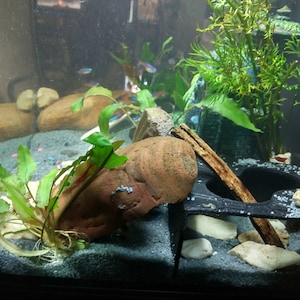 Aquarium/terrarium Corner Tunnel Fish Cave Fish Hide Reptile Hide 2 ...