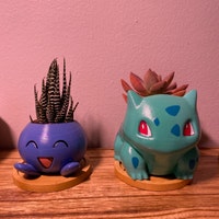 Bulbasaur pintado y maceteros extraños con suculentas/cactus vivos Dos ...