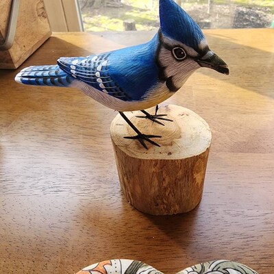 White Screw Shells 3-8cm Unicorn Horns Spiral Shell Beach Wedding ...