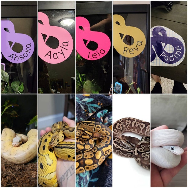 Customizable Name Ball Python Snake Vinyl Decal READ DESCRIPTION - Etsy