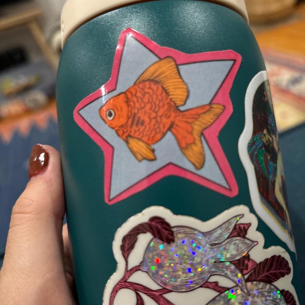 Goldfish Star Sticker | Glossy and Waterproof - Etsy