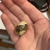 Coffee Calcite, Chocolate Calcite, Coffee Calcite Tumble Stone ...
