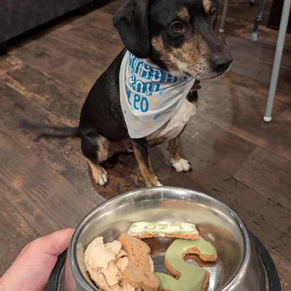 Frosted Mini Bones, All Natural, Custom Bones, Peanut Butter, Birthday ...