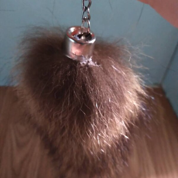 Raccoon Tails | Raccoon Tail Keychain | Taxidermy Keychain | Raccoon ...