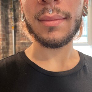 Obsidian Septum Pincher. Septum Plug. Stretched Septum. Tusk - Etsy