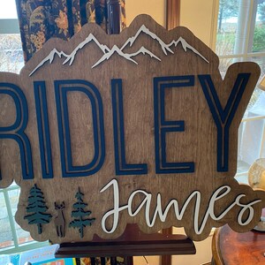 Outline Name Sign, Custom Girl Name Sign, Boho Nursery, Daisy Nursery ...